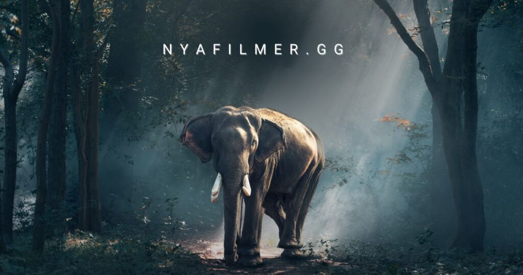 Nyafilmer.gg Review: Safe Streaming or Legal Risk? - Sbcodez | Swag Codez