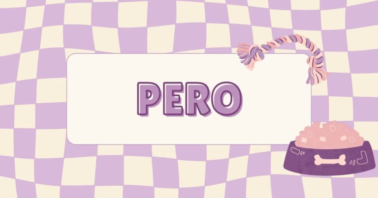 Pero Meaning, Usage, and Cultural Significance in Depth - Sbcodez ...