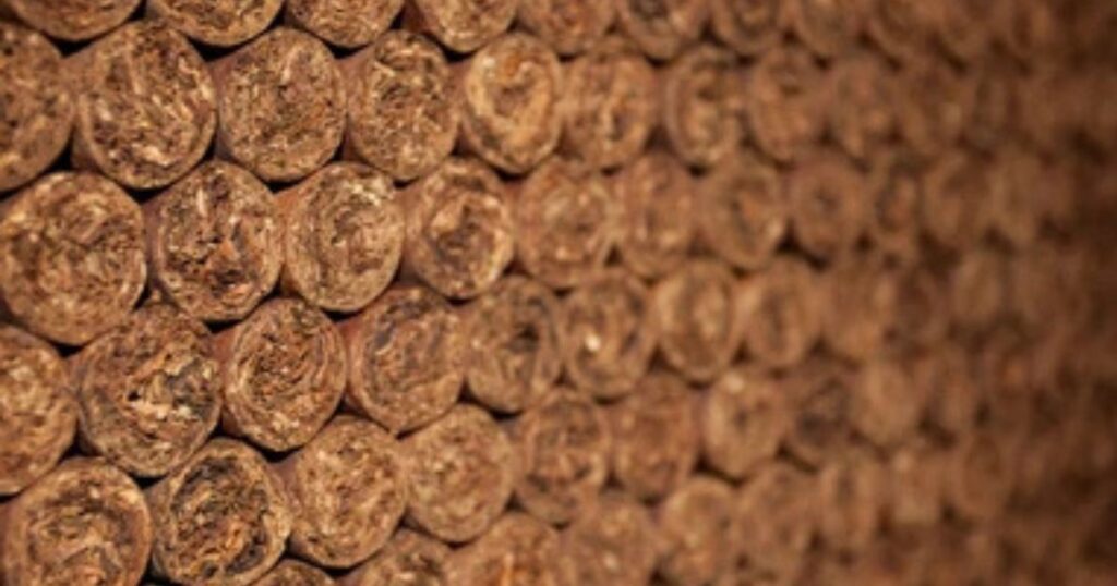 What is Grabba? A Complete Guide to Grabba Tobacco - Sbcodez | Swag Codez