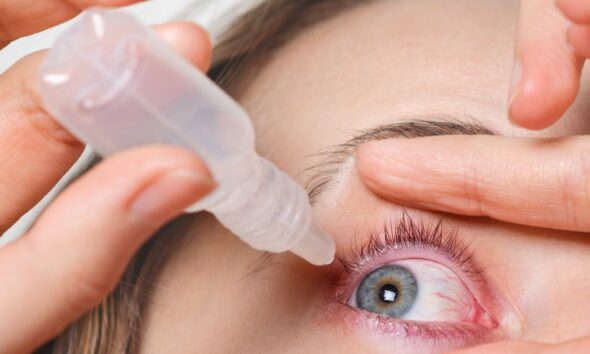 Pollybuzz: Explore the Internet’s Viral Pulse Hub - Sbcodez | Swag Codez